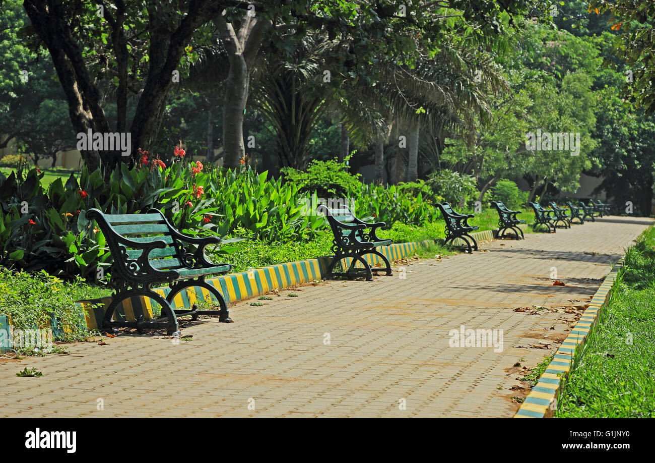 Row of sunlit park benches along a paved pathway Stock Photo - Alamy