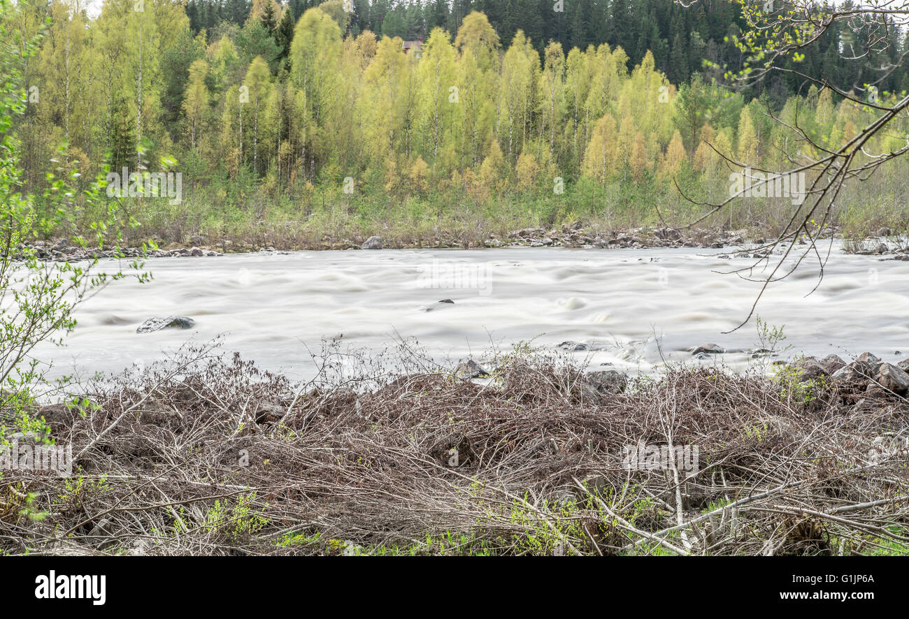 River in sweden hi-res stock photography and images - Alamy