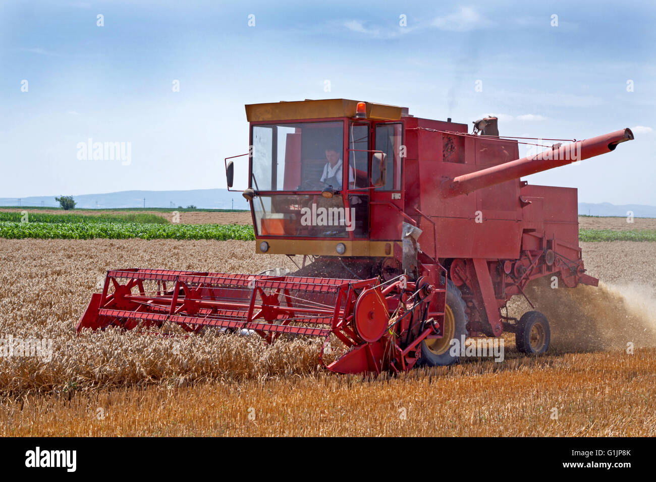 Combine harvesting wheat Stock Photo - Alamy