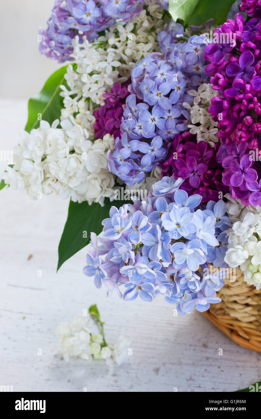 Bunch of fresh lilac Stock Photo - Alamy