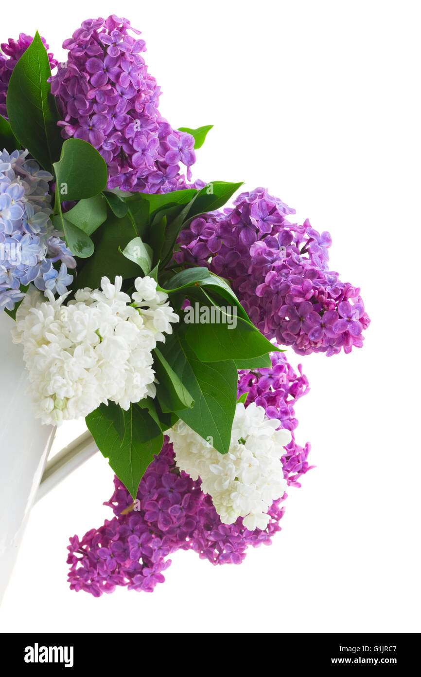 Bunch of fresh lilac Stock Photo - Alamy