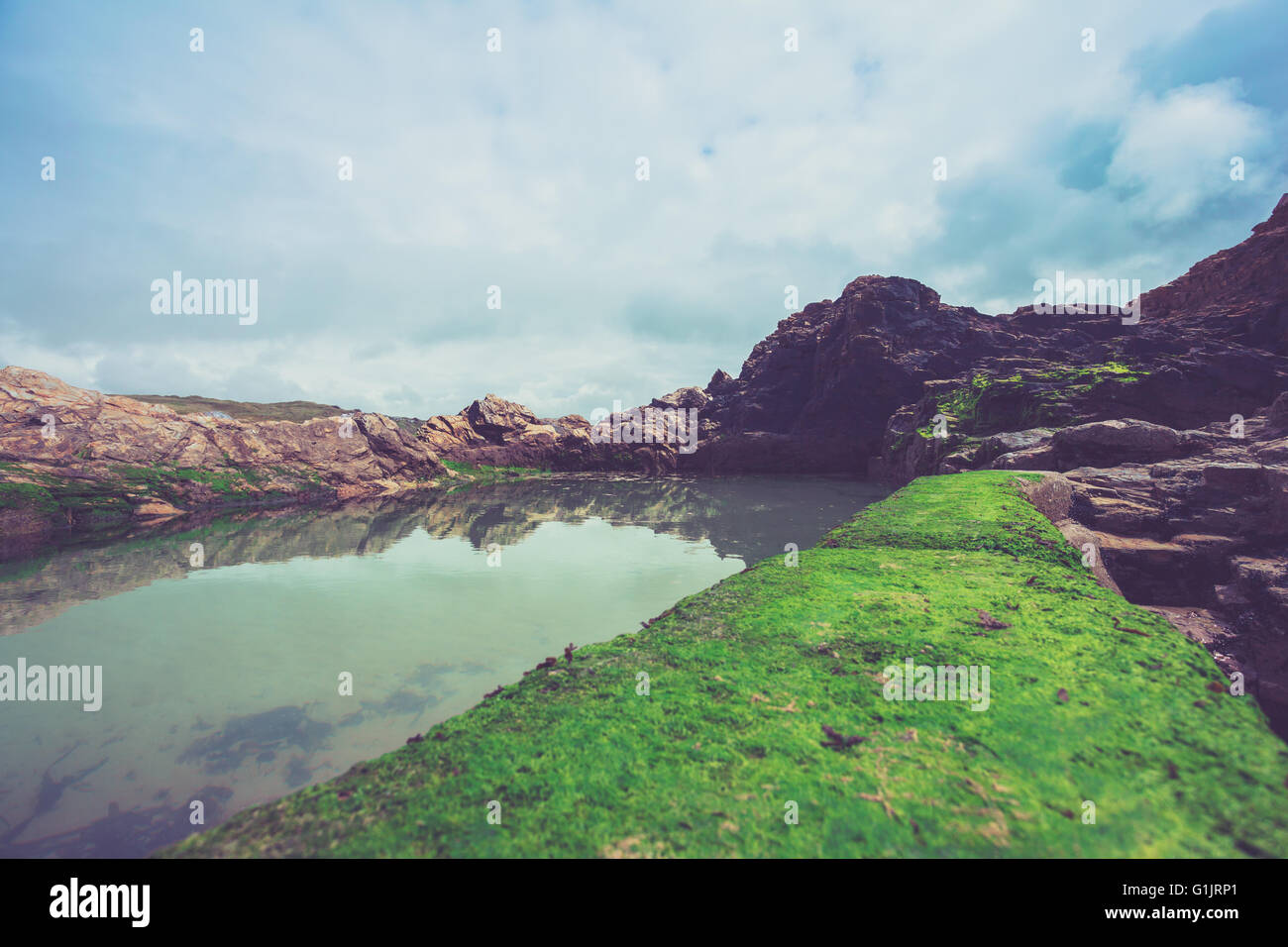 Algae at a rock pool hi-res stock photography and images - Alamy