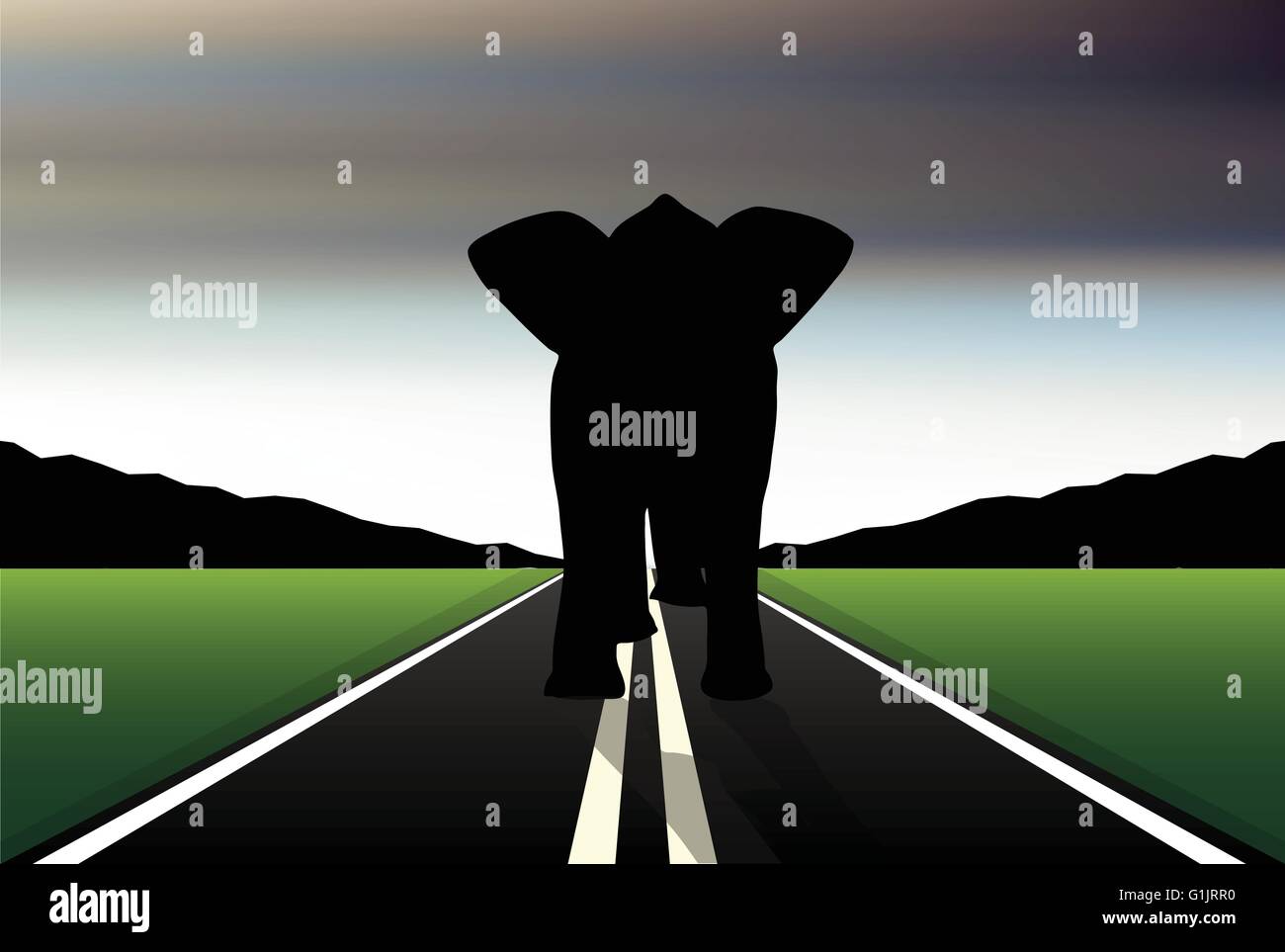 Eps 10 Editable vector silhouette of African elephant in walk pose on a ...