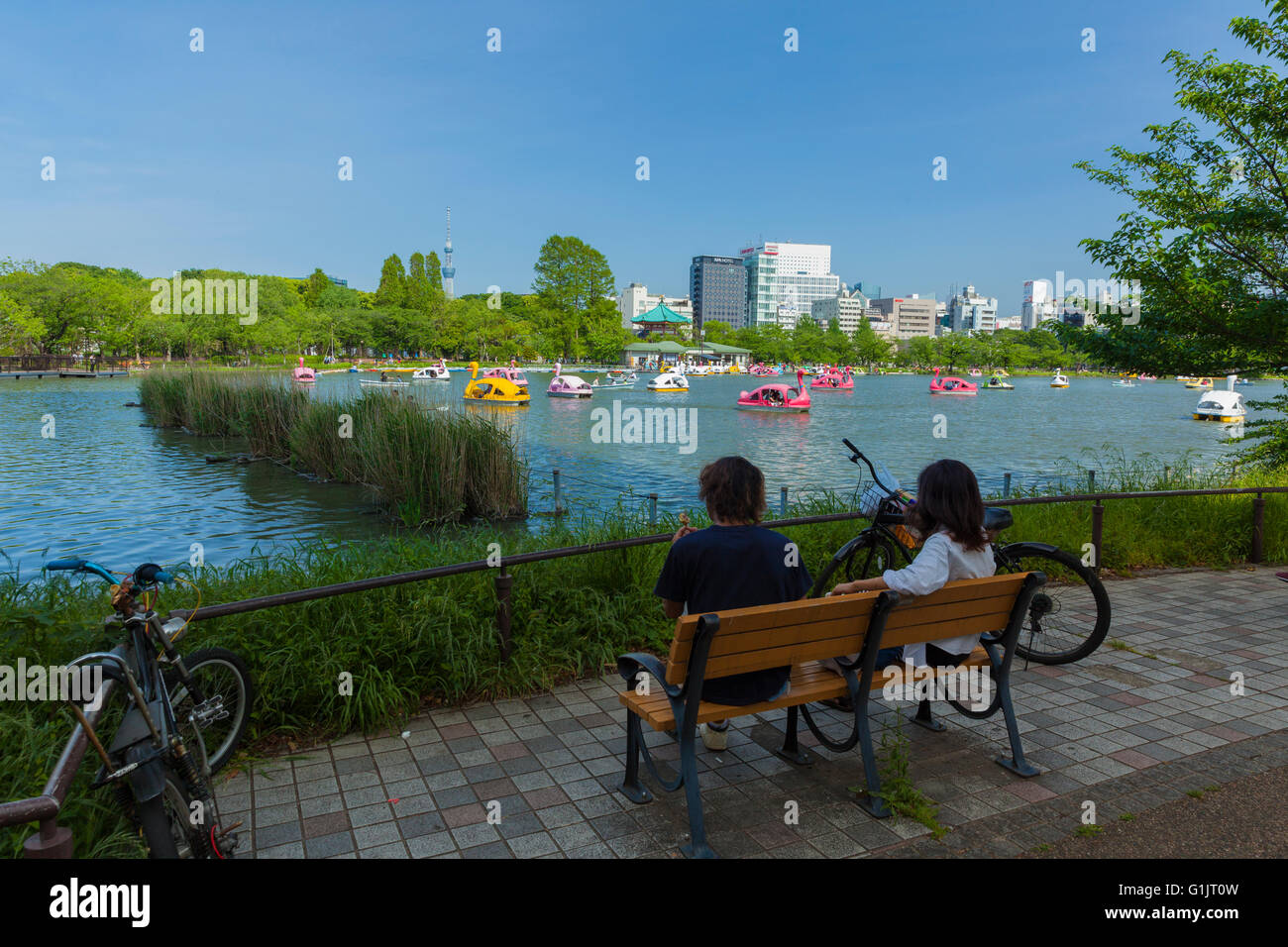 People sitting by the lakeside in Tokyo Stock Photo - Alamy