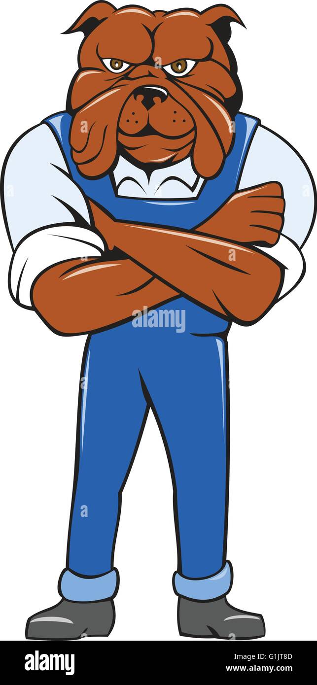 Illustration of a bulldog standing arms crossed viewed from front set ...