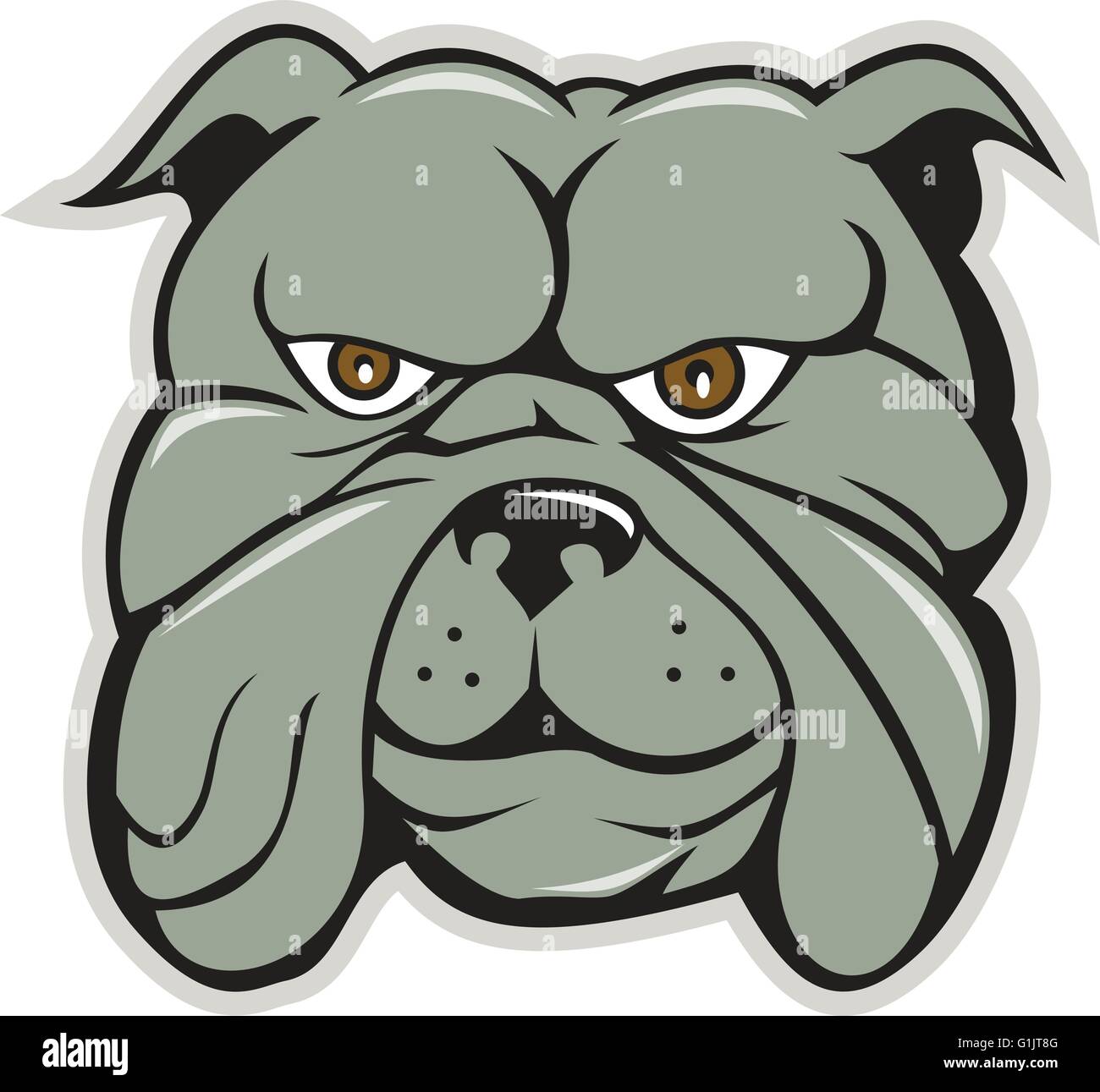 Illustration of a bulldog head viewed from front set on isolated white ...