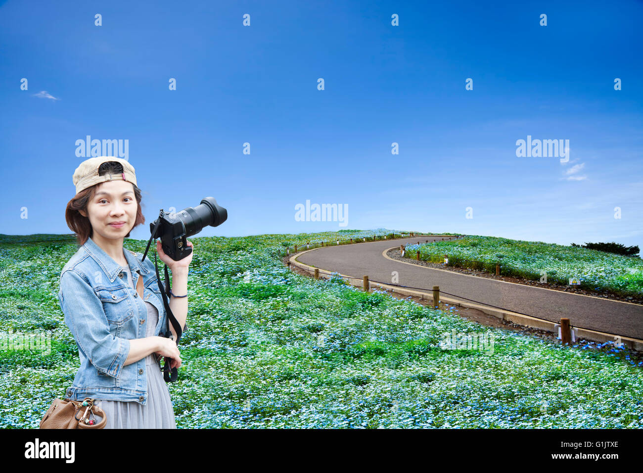 The imageing of Mountain, Tree and Nemophila at Hitachi Seaside Park in ...
