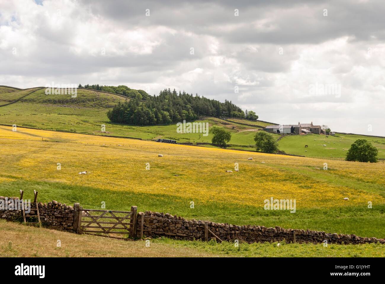 English farm scene hi-res stock photography and images - Alamy