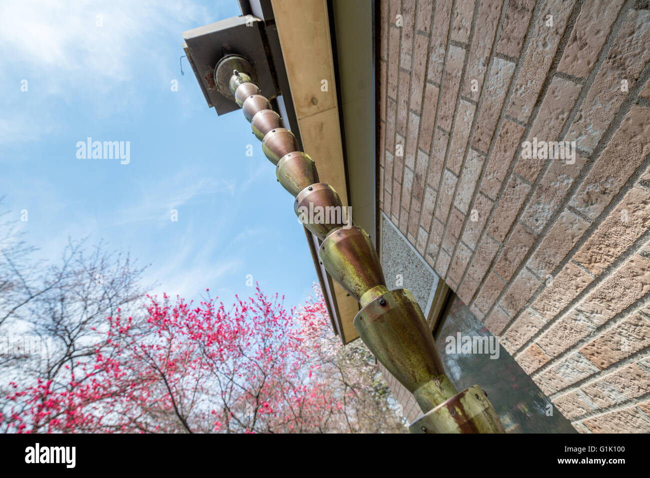 Japanese styled roof drainage made with metal cups Stock Photo - Alamy