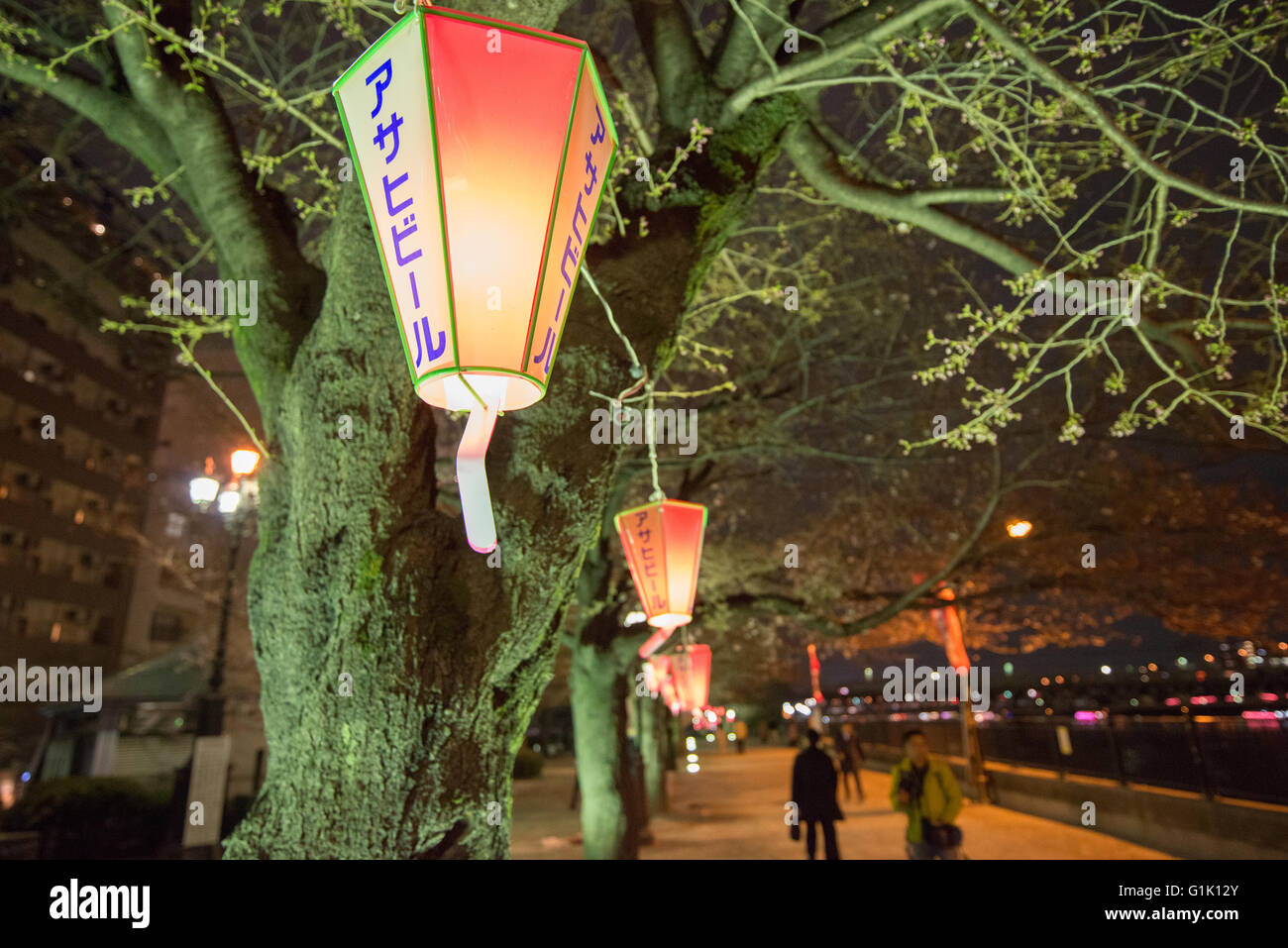 Illuminate tree of light hi-res stock photography and images - Alamy