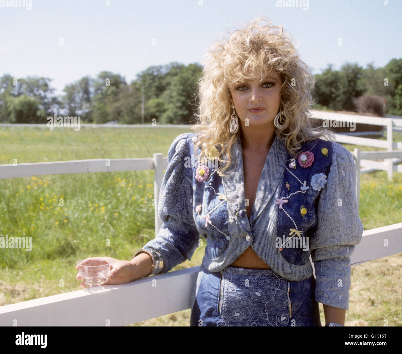 Bonnie tyler hi-res stock photography and images - Alamy