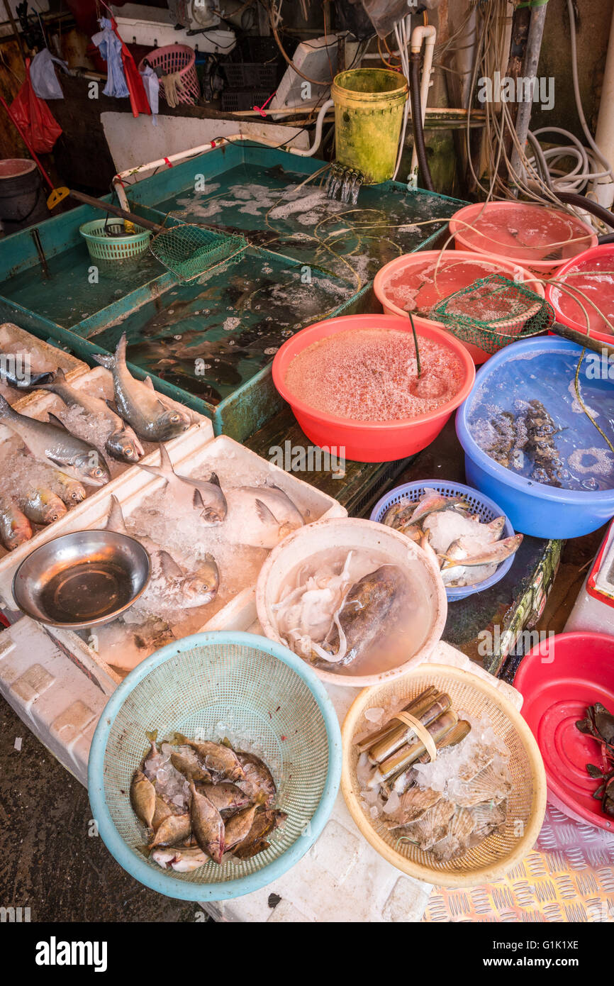 Fish In Stock Tanks at Marsha Shain blog