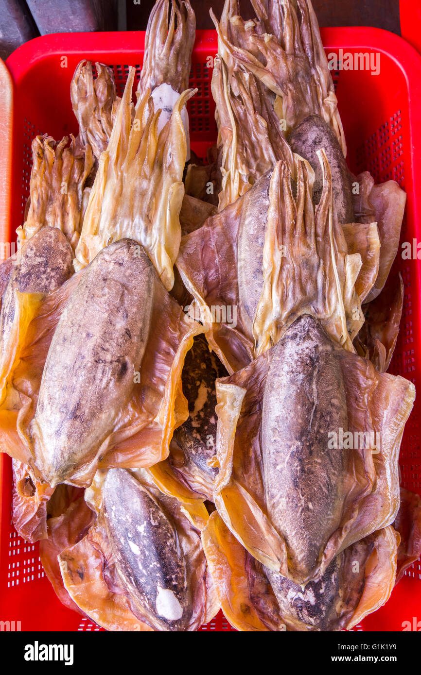 Dried squid and cuttlefish Stock Photo - Alamy