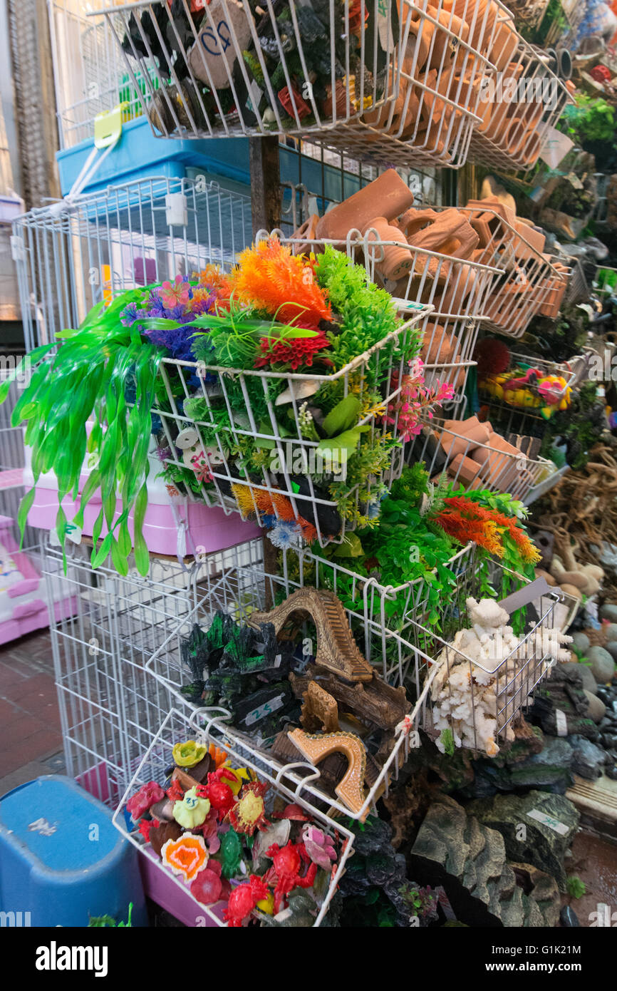 aquarium shop stand Stock Photo - Alamy