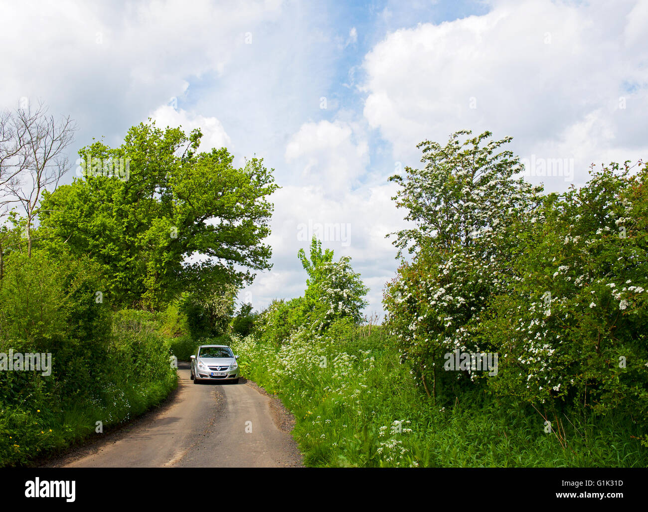 Car approaching Fingringhoe Wick, an Essex Wildlife Trust nature ...