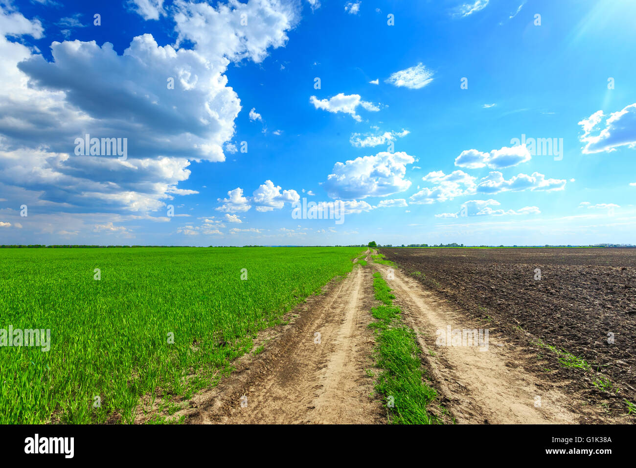 Field road hi-res stock photography and images - Alamy