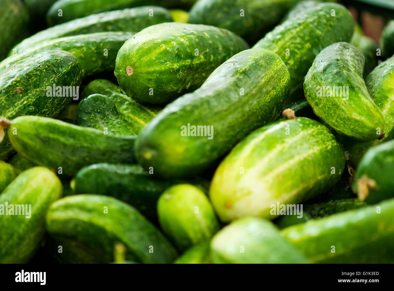 Cross section of cucumber hi-res stock photography and images - Alamy