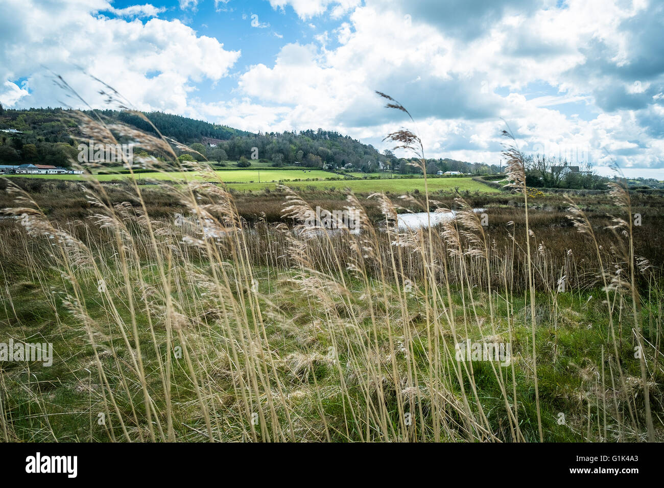 Pentraeth beach hi-res stock photography and images - Alamy