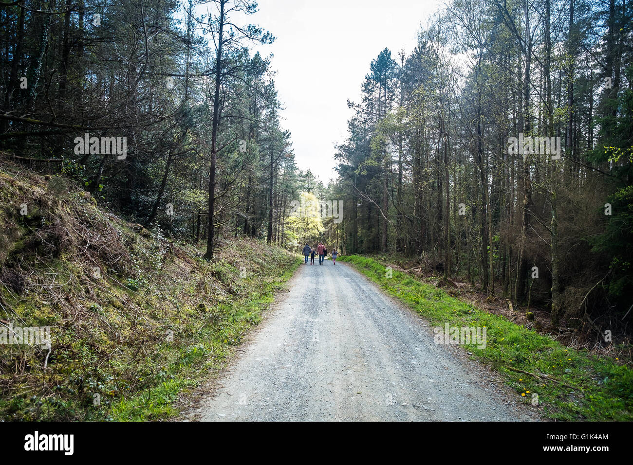 Llwydiarth hi-res stock photography and images - Alamy