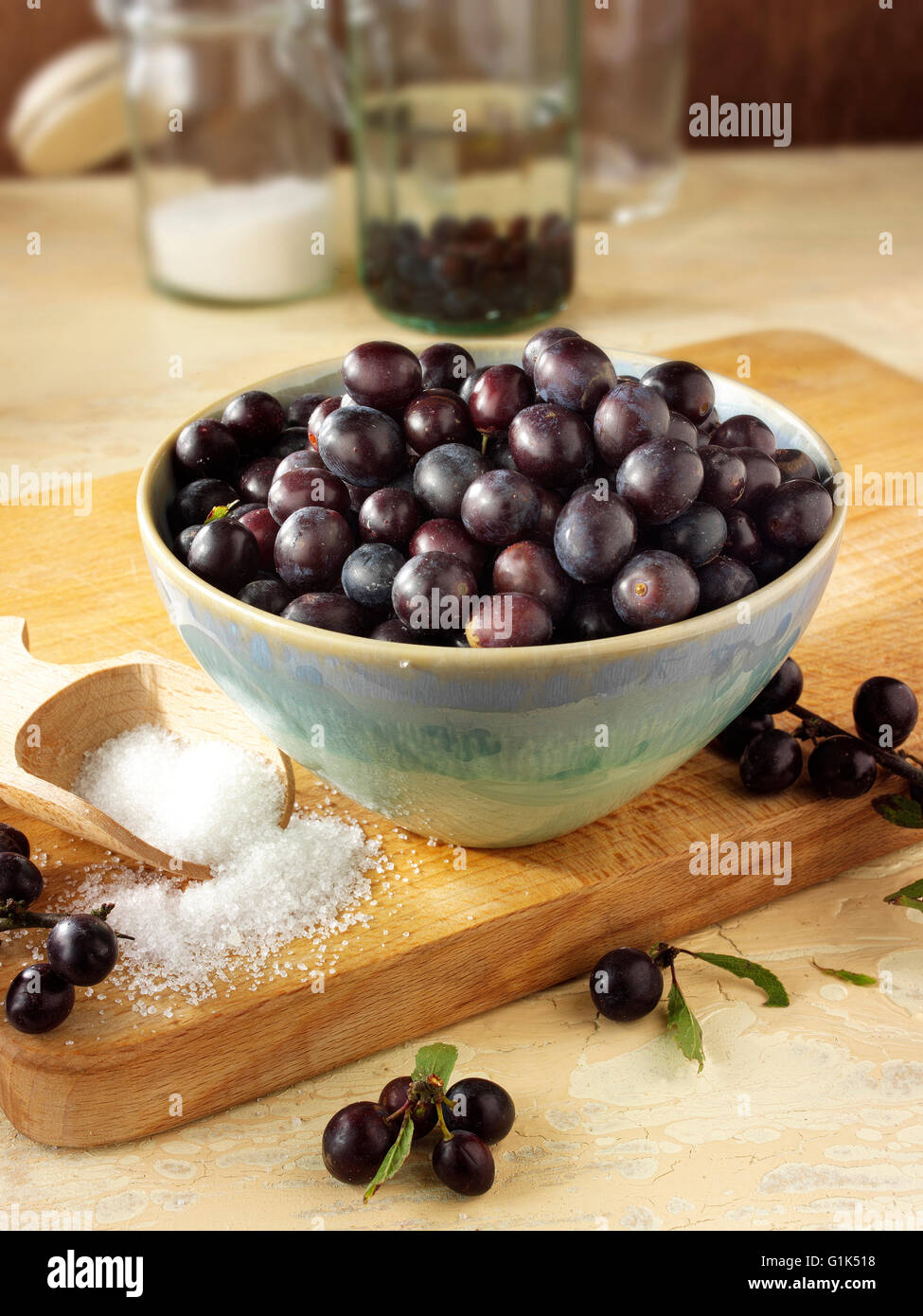 Close up of fresh sloe berries (Prunus spinosa) in a bowl in a kitchen ...