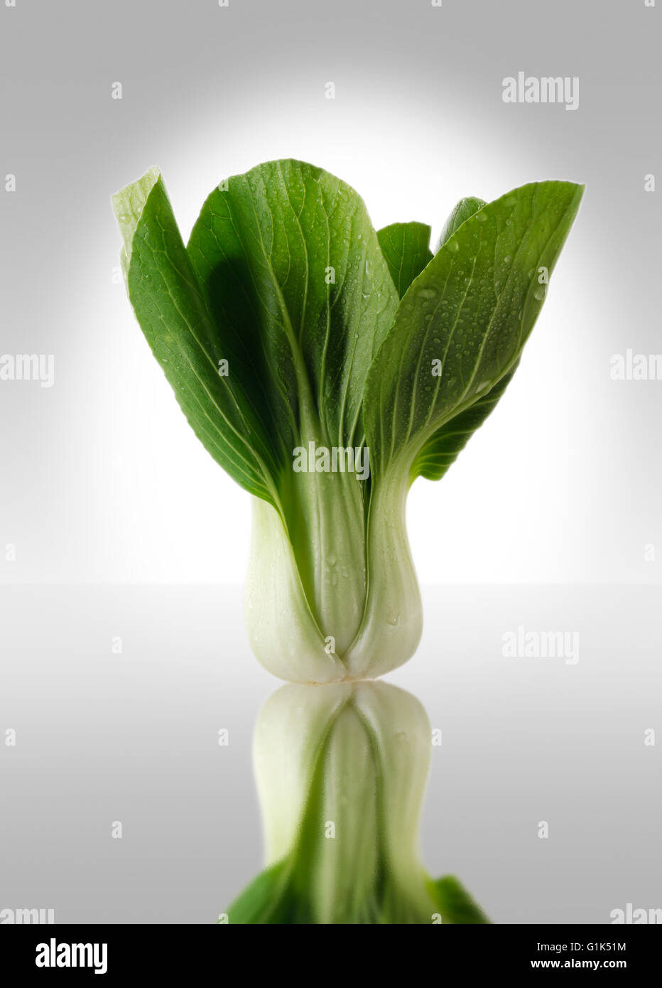 Pok hi-res stock photography and images - Alamy