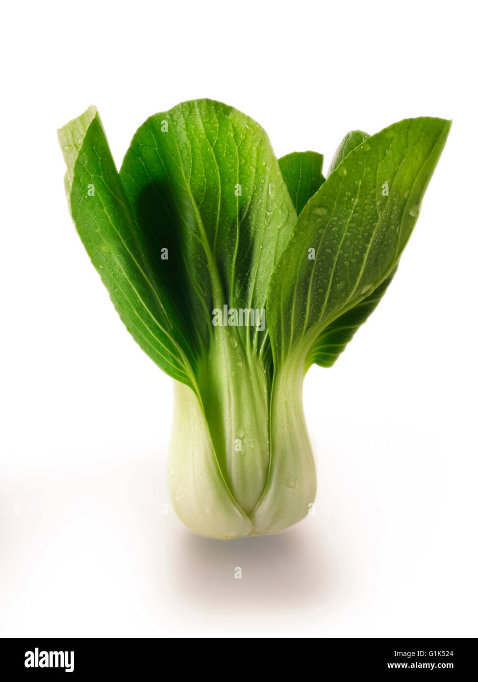 Pak choi growing Cut Out Stock Images & Pictures - Alamy