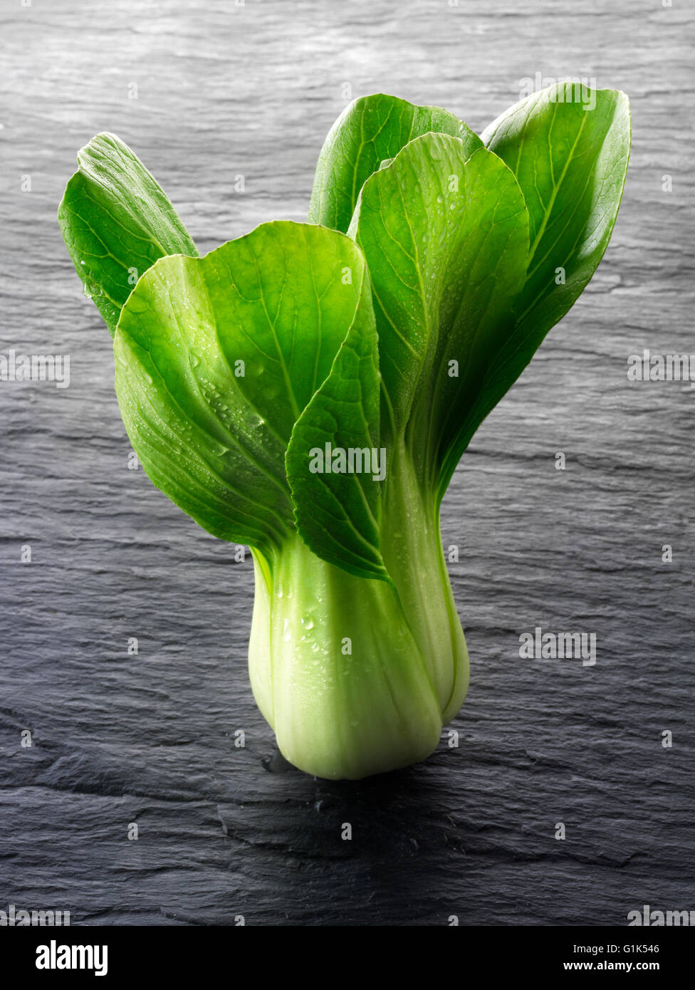 Pak choi growing hi-res stock photography and images - Alamy