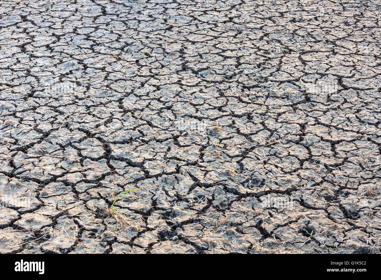 Cracked dry land without water.Abstract background Stock Photo - Alamy