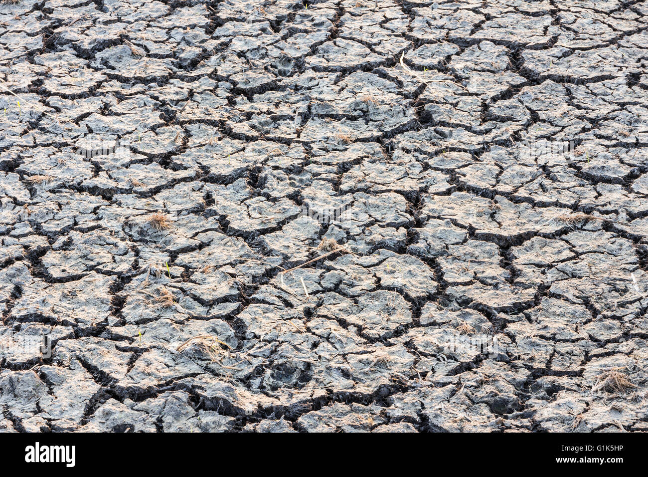 Cracked dry land without water.Abstract background Stock Photo - Alamy