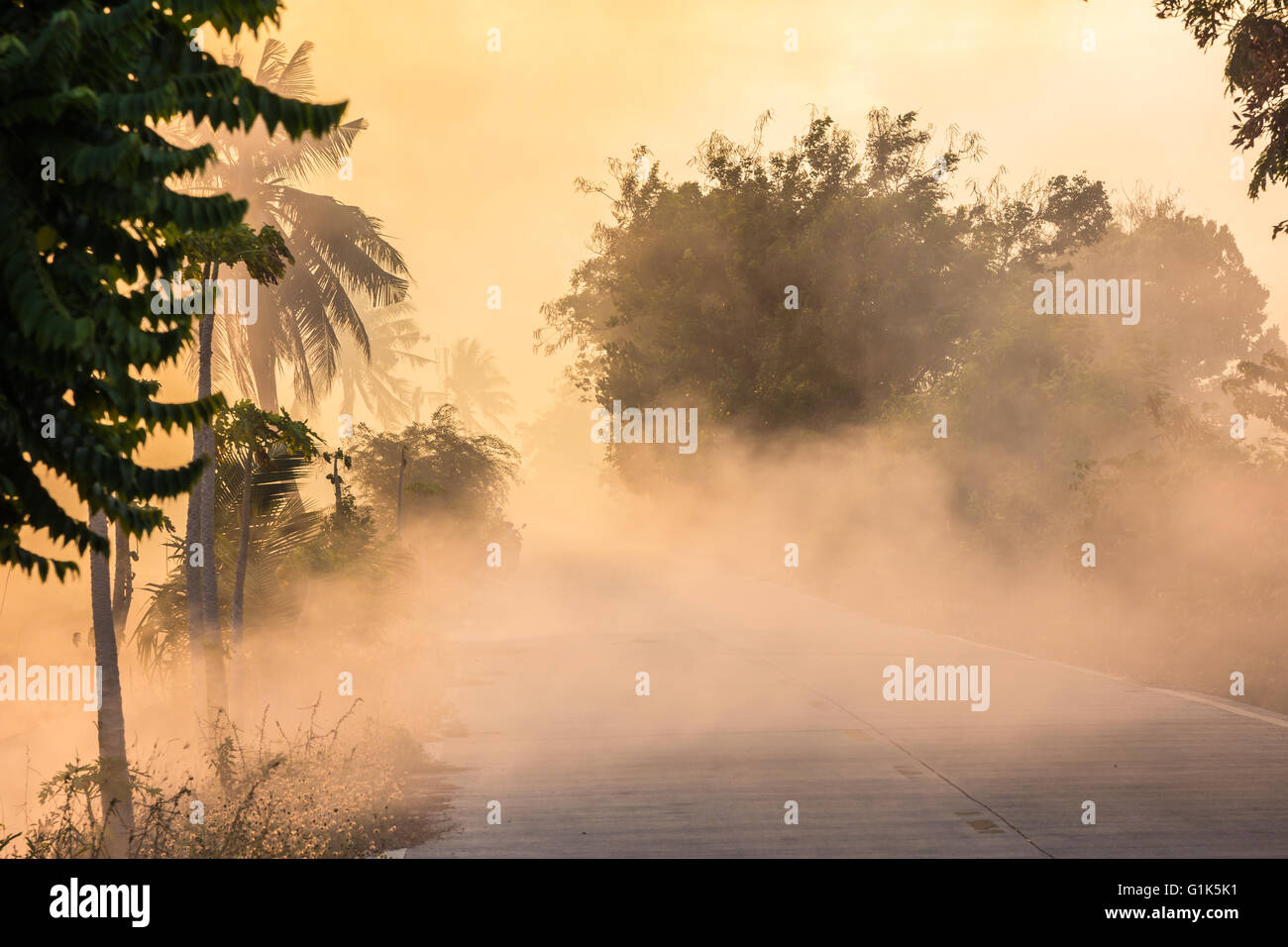 Grass beside the fire, which caused a strong wind to make tertiary ...