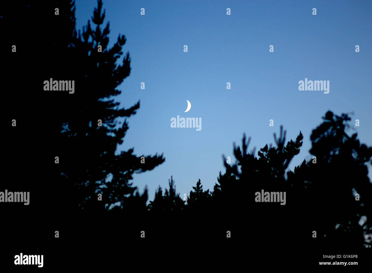 A Crescent Moon At Dusk Stock Photo - Alamy