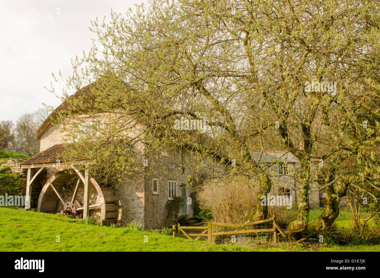 Uplyme hi-res stock photography and images - Alamy