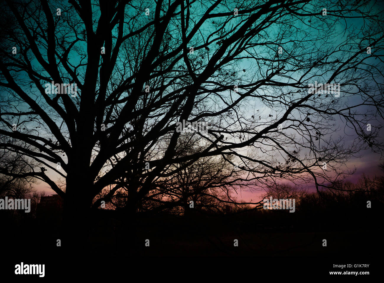 Dramatic pattern hi-res stock photography and images - Alamy