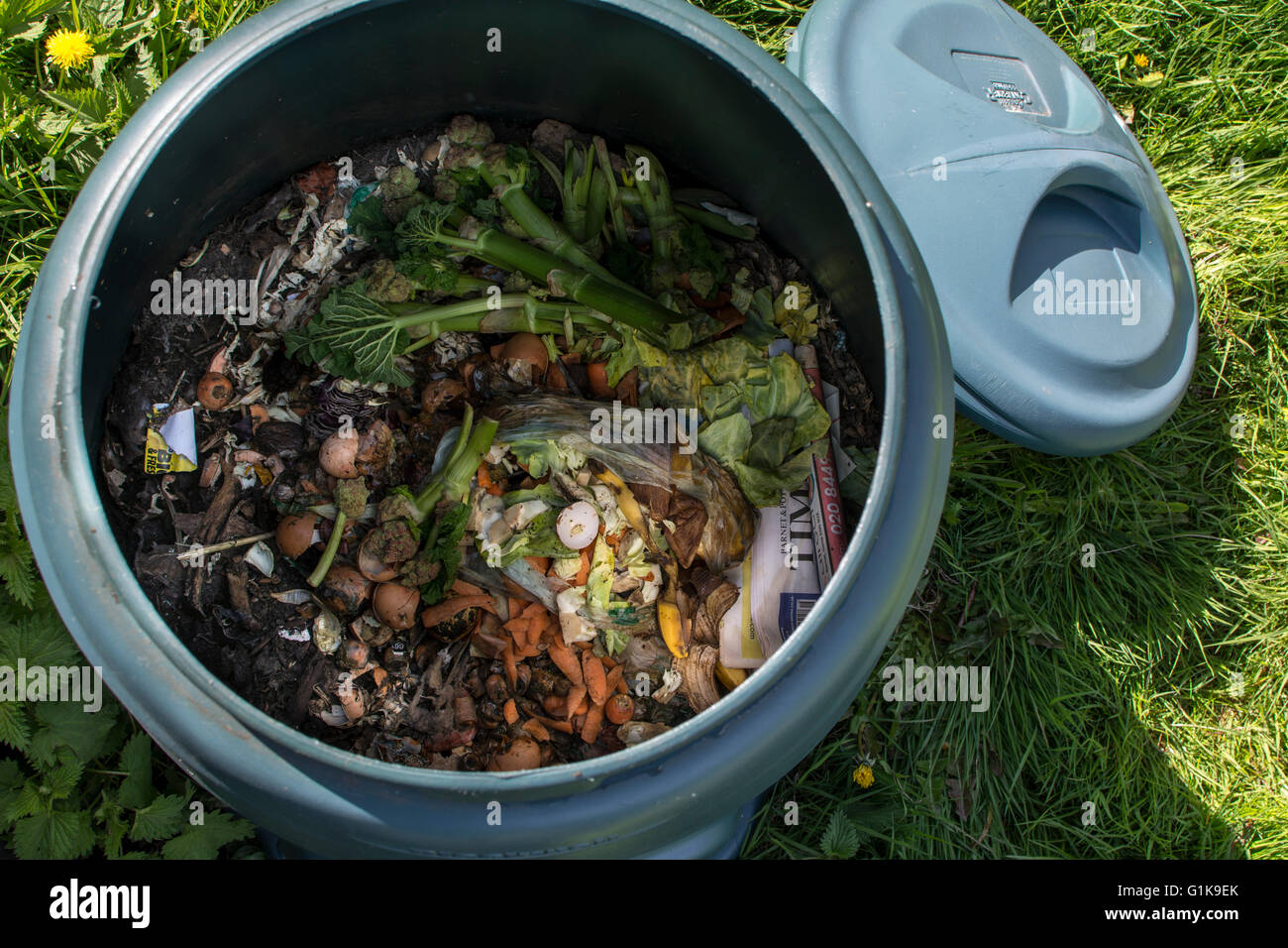 Interior of a plastic compost bin for home use with food scraps and ...