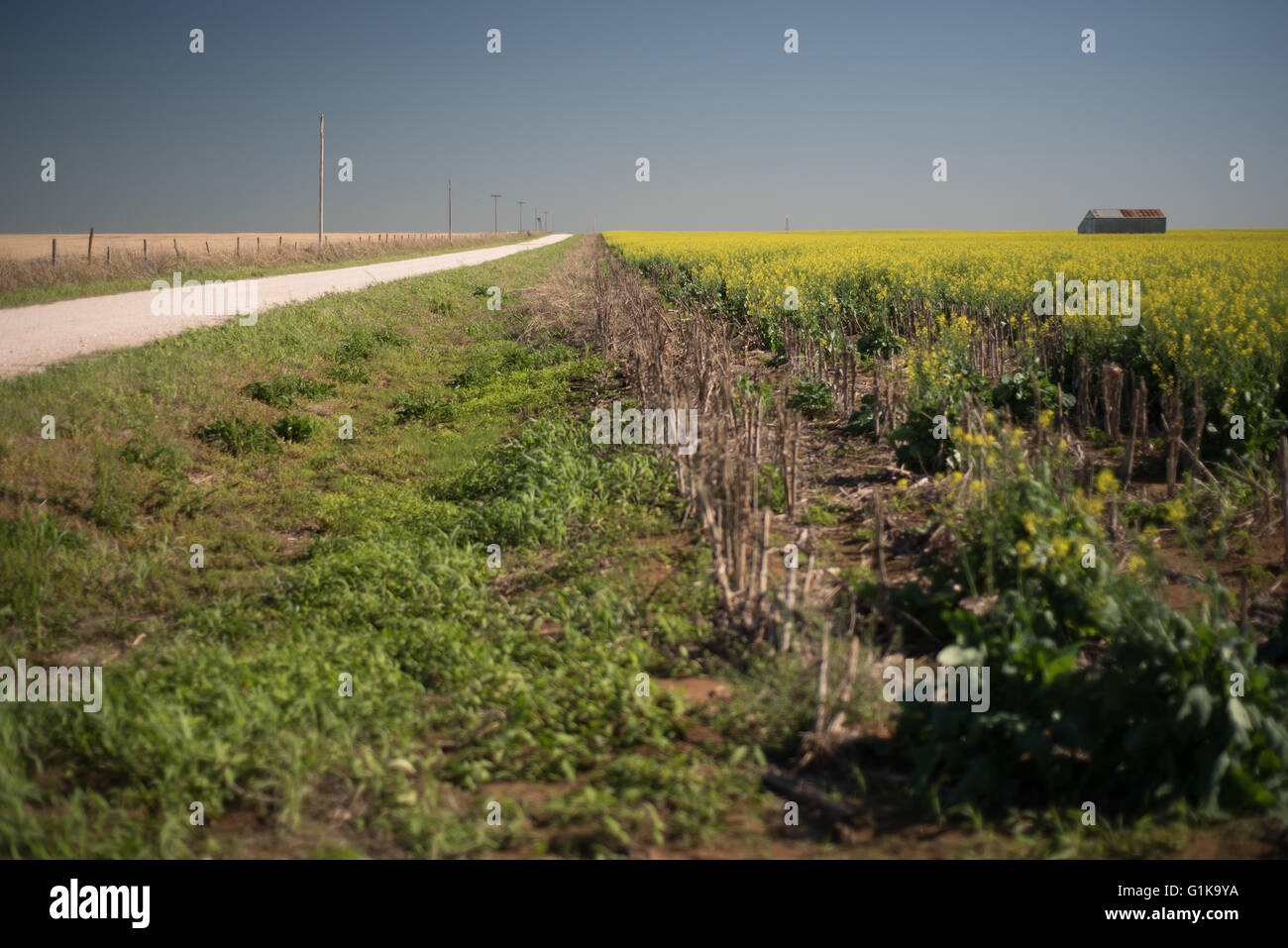 Long flat road hi-res stock photography and images - Alamy