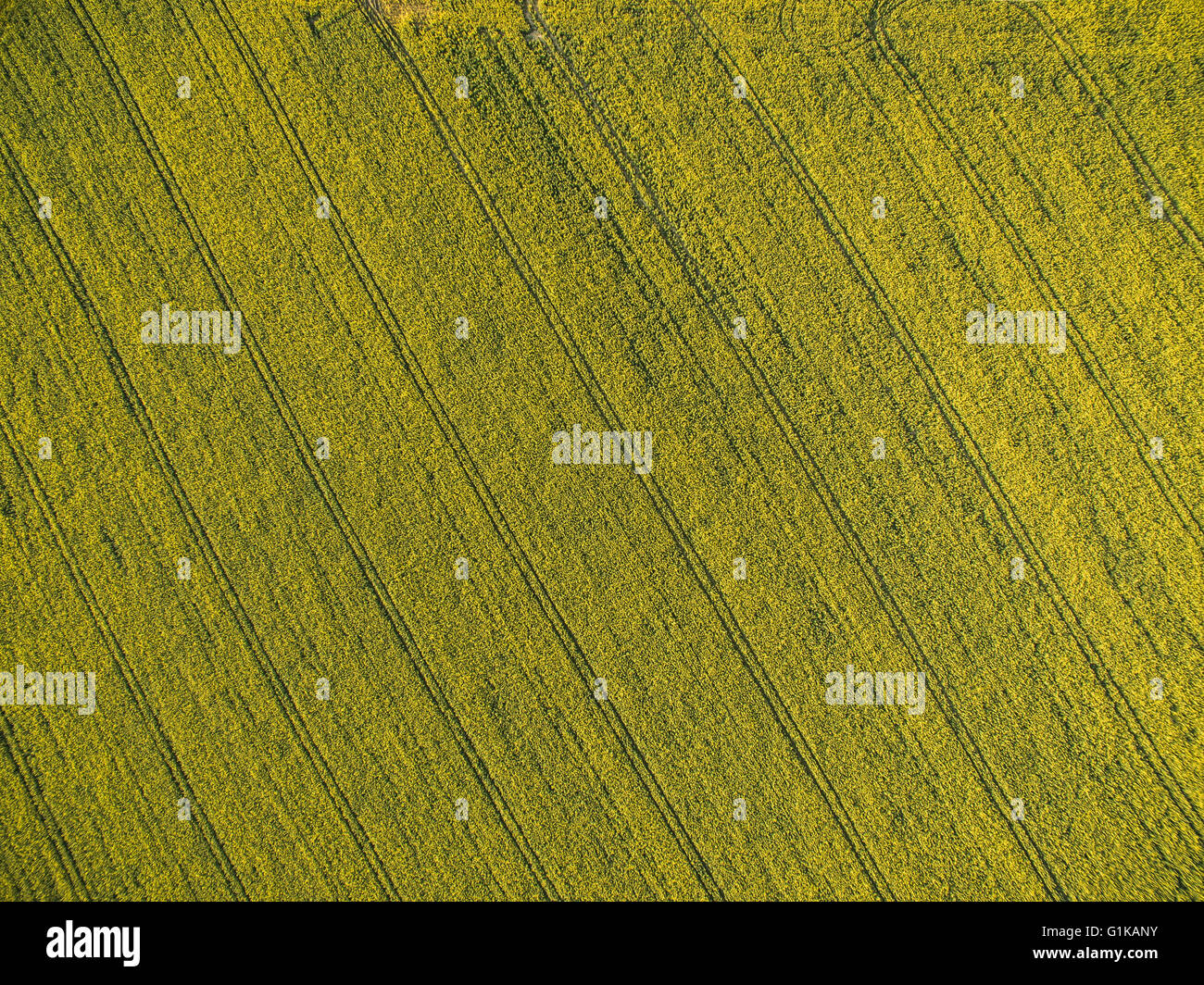 Farmland from above hi-res stock photography and images - Alamy