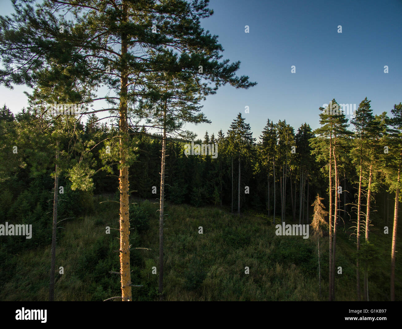 Aerial view of vast forests landscape Stock Photo - Alamy