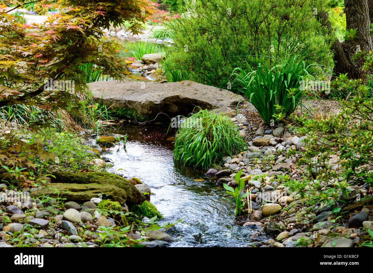 Calming and relaxing stream located at the base of a Japanese botanical ...