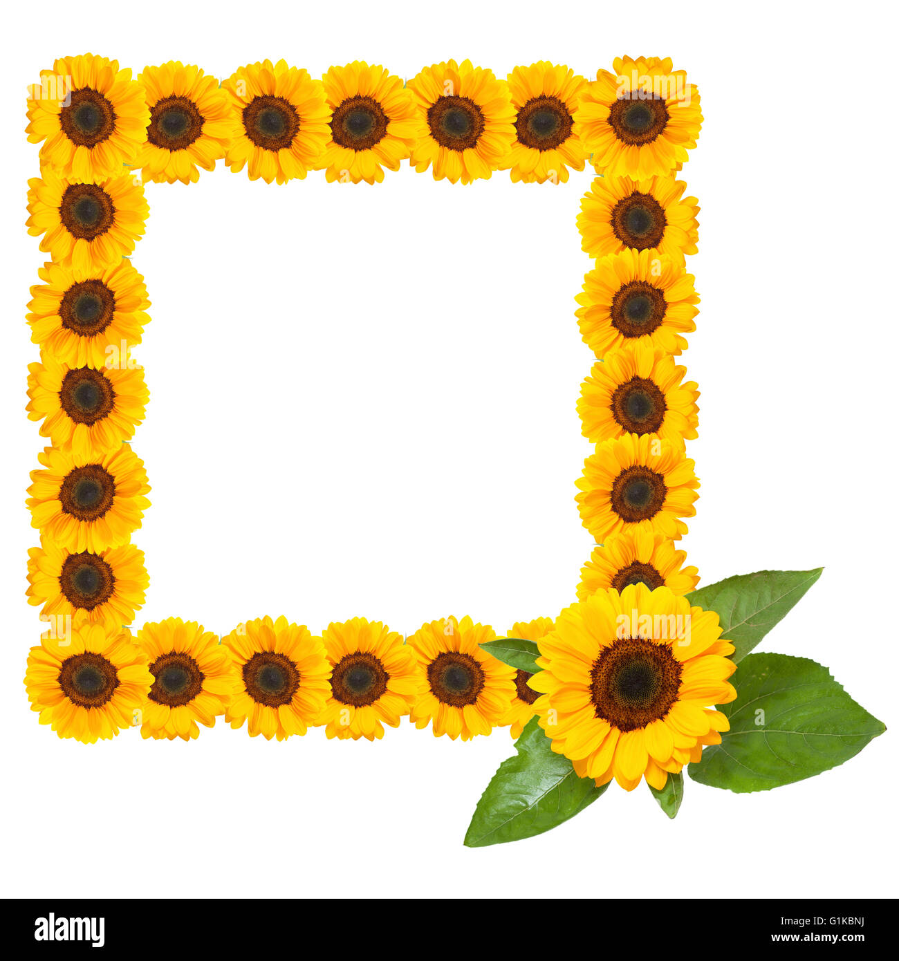 Round summer frame bright Cut Out Stock Images & Pictures - Alamy