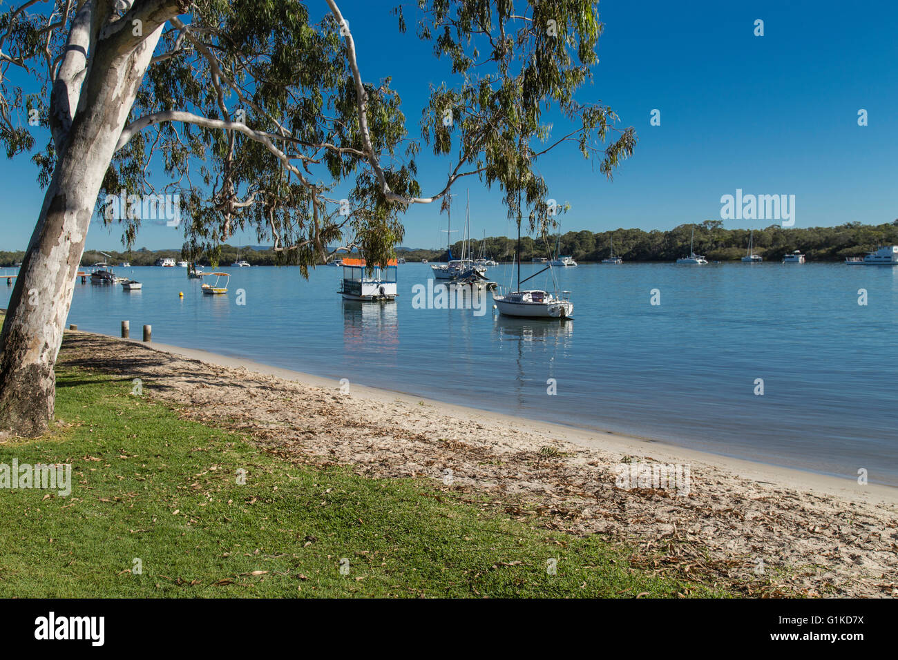 Noosa river hi-res stock photography and images - Alamy