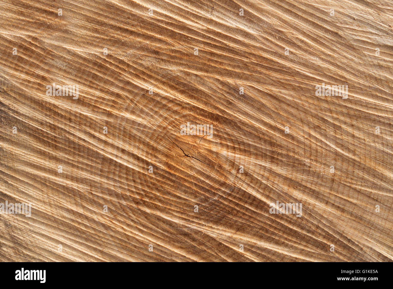 Surface of the tree hi-res stock photography and images - Alamy