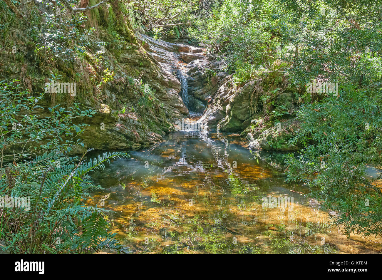 A small waterfall and swimming pool a short walk from Jubilee Creek, a ...