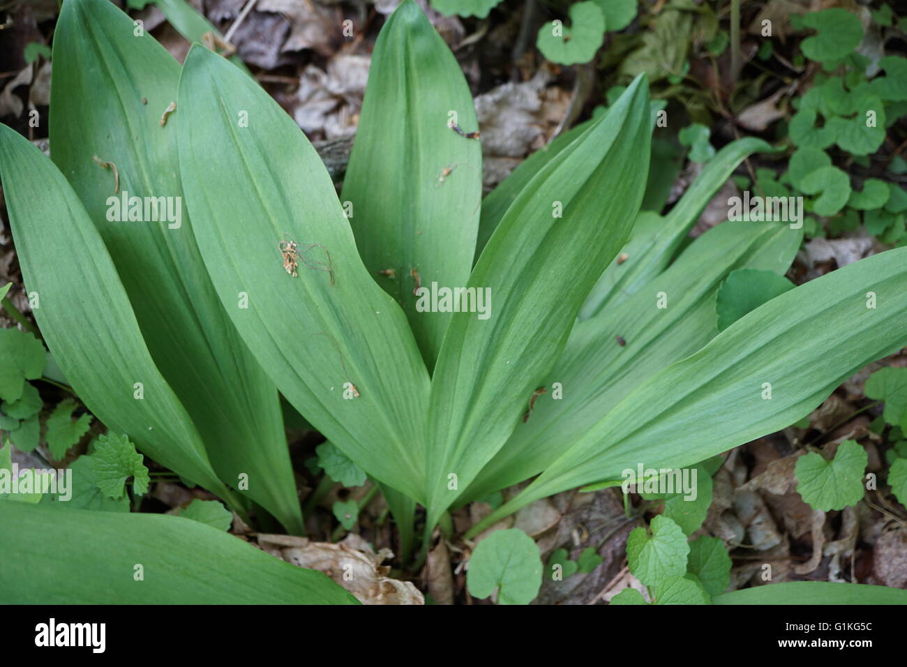 Ramps hi-res stock photography and images - Alamy