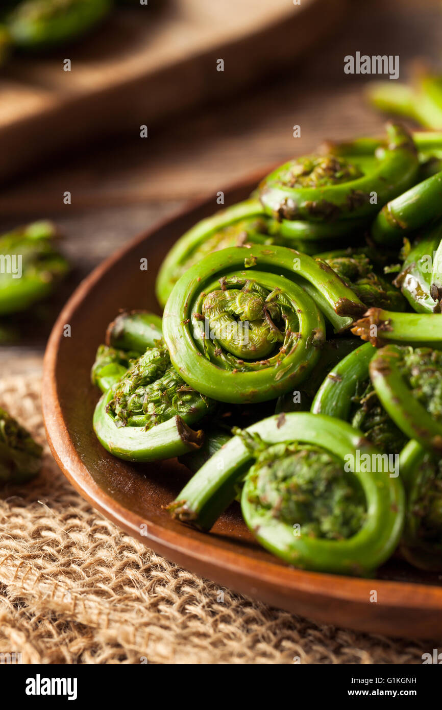Raw Organic Green Fiddlehead Ferns Ready for Cooking Stock Photo - Alamy