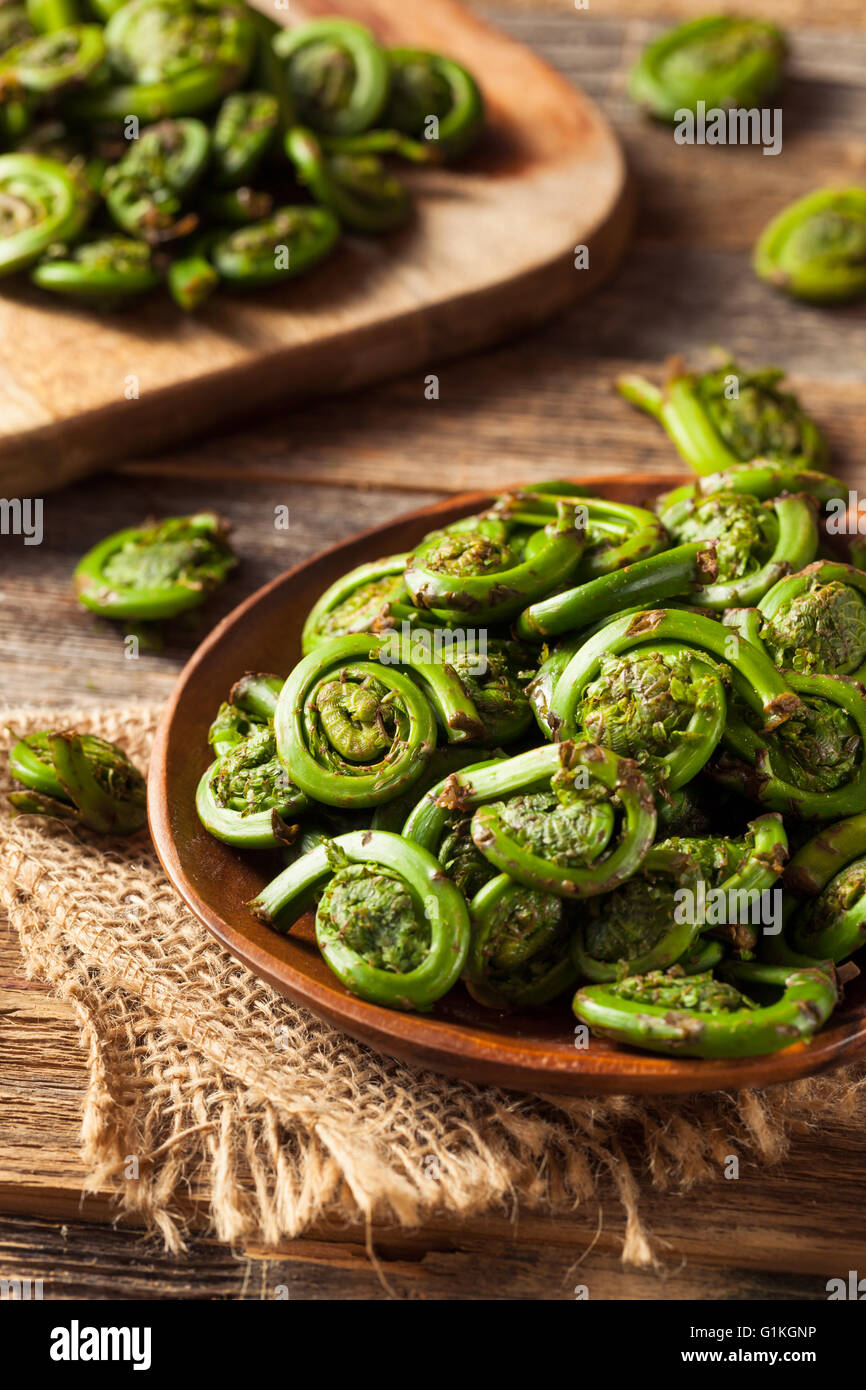 Curly ferns hi-res stock photography and images - Alamy