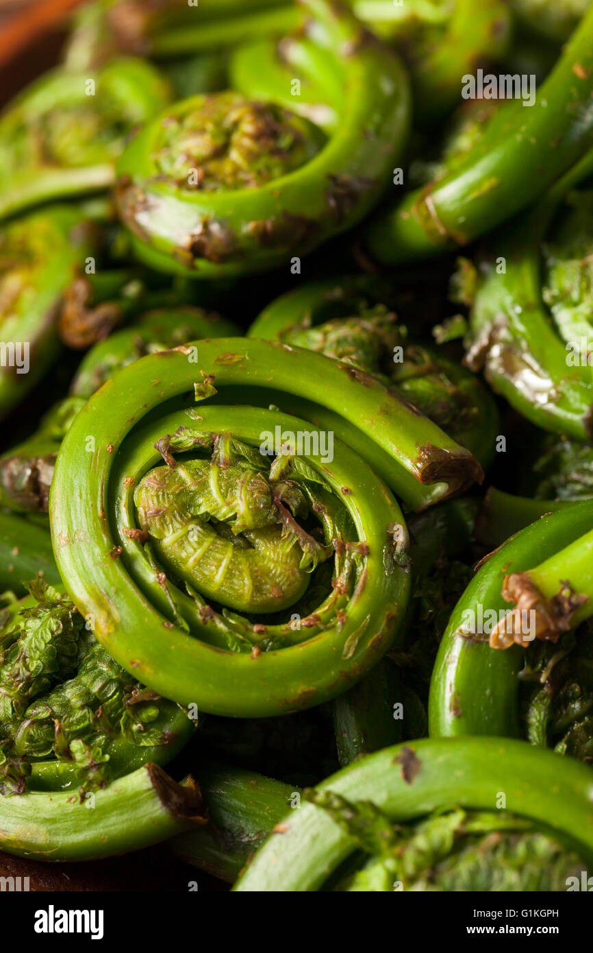 Fiddlehead ferns hi-res stock photography and images - Alamy