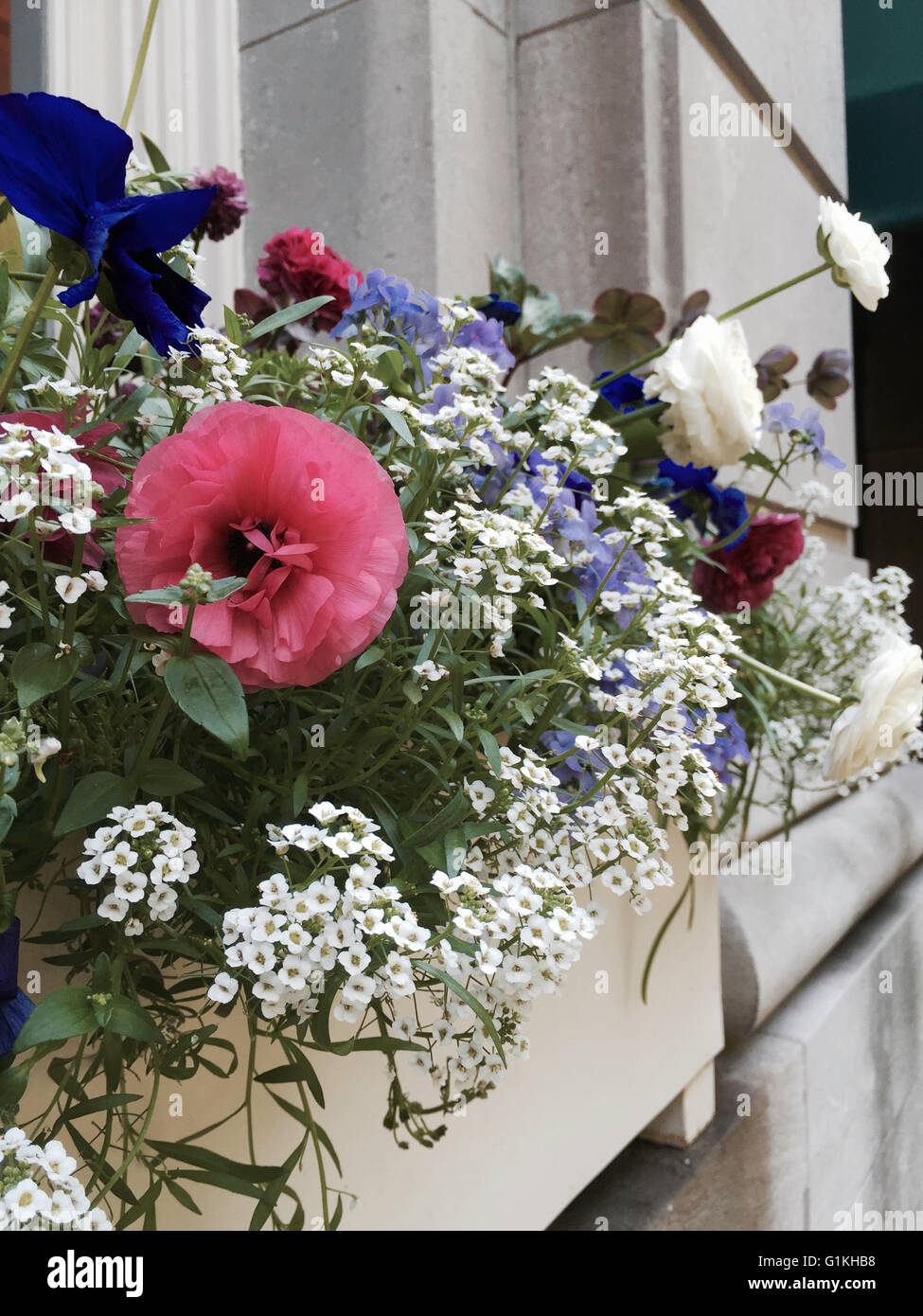 Nyc spring flower hi-res stock photography and images - Alamy