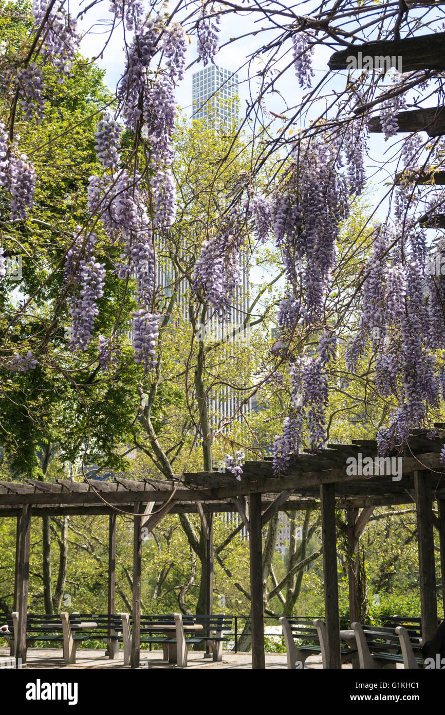 Chess & Checkers House, Central Park, NYC Stock Photo - Alamy