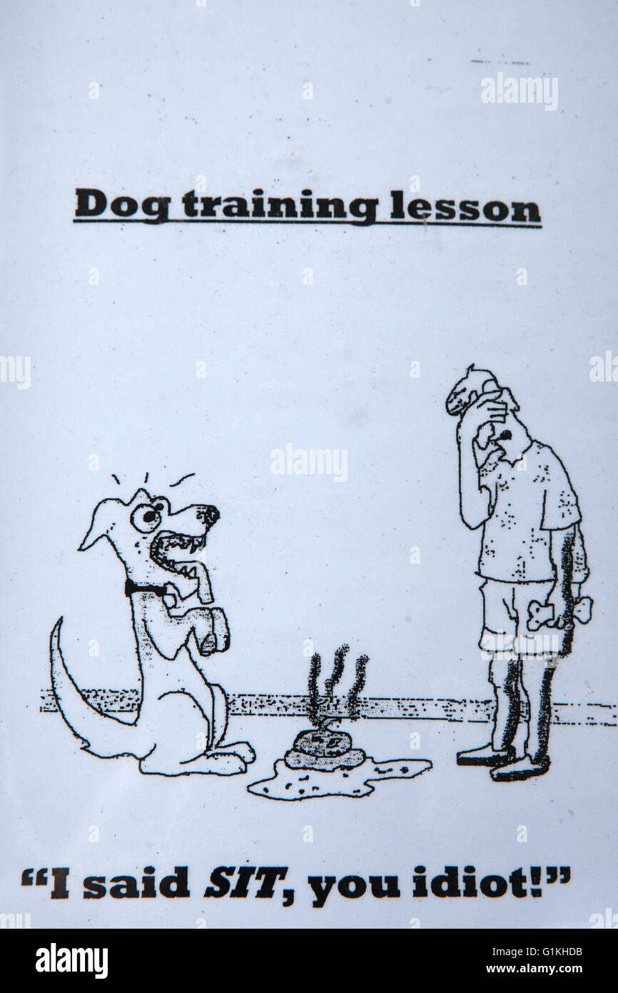 Hilarious dog jokes hi-res stock photography and images - Alamy