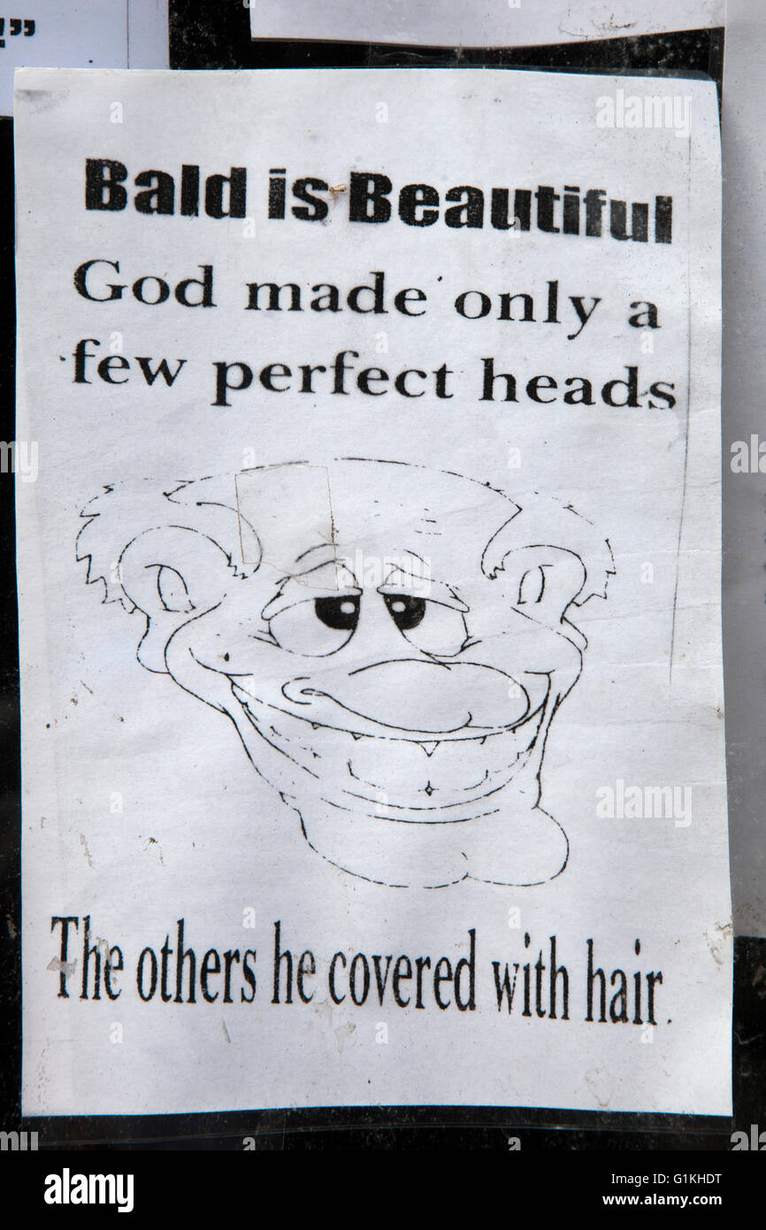 Bald is Beautiful, God made only a few perfect heads, others he covered ...